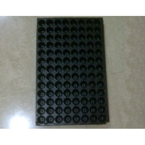 Plug Trays Recyclean India